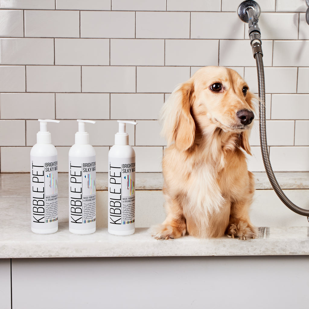 Brightening Silky Wash Shampoo – Dr. Sniff