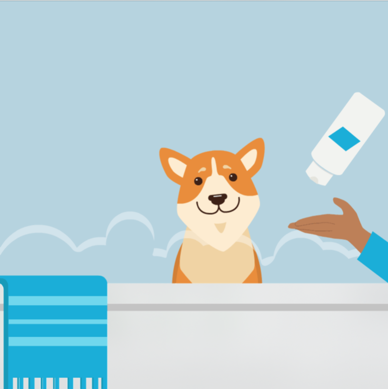 Dr. Sniff Sulfate-Free Dog Shampoo